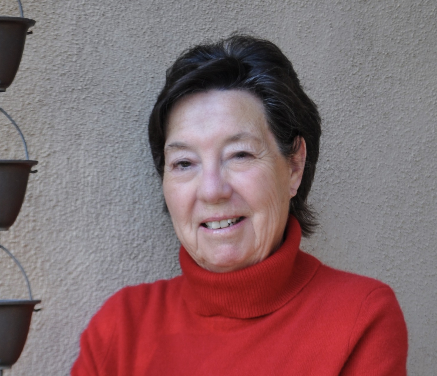 Sue Wells | Norton School of Human Ecology
